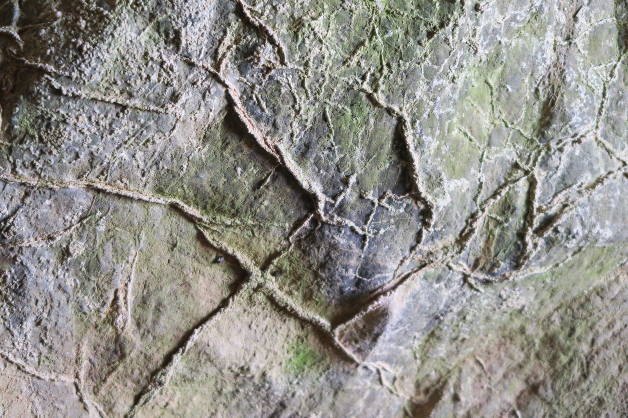 Vein structure from evaporation - Grotta del Vento