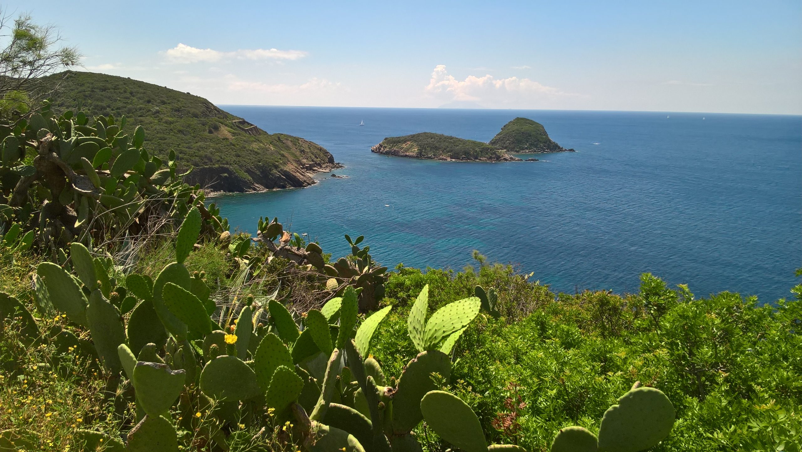The island of Elba: a lost paradise (almost) for mineral enthusiasts ...